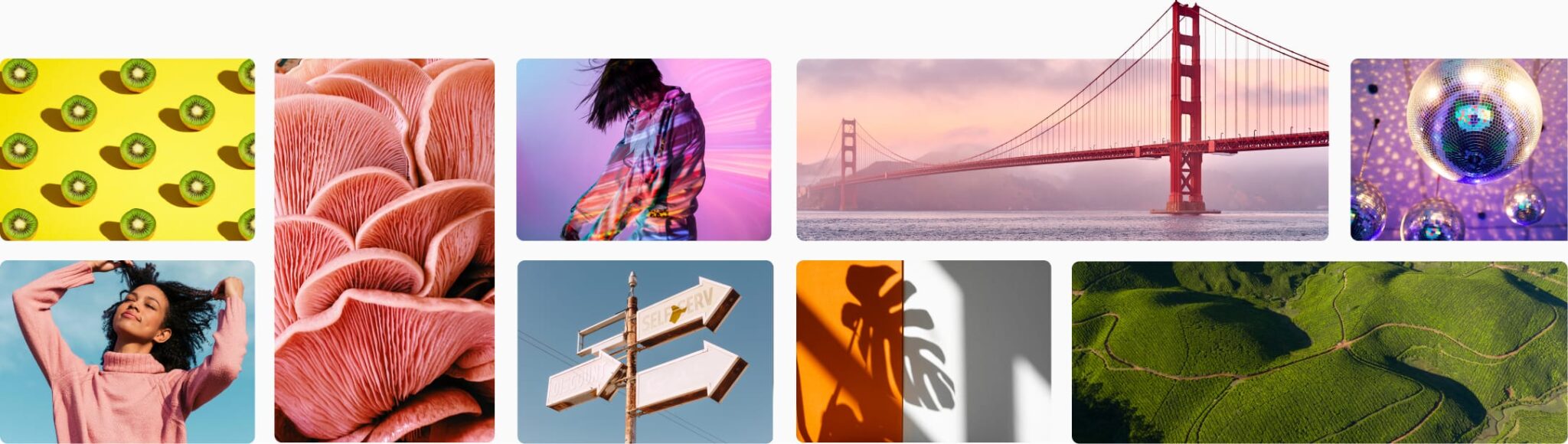 Envato Elements | Unlimited Royalty Free Images