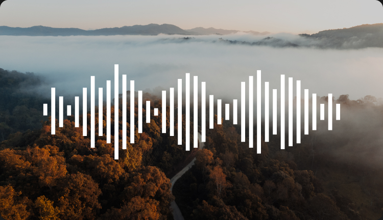 Envato Elements for Video Creators — Mixkit 1.1