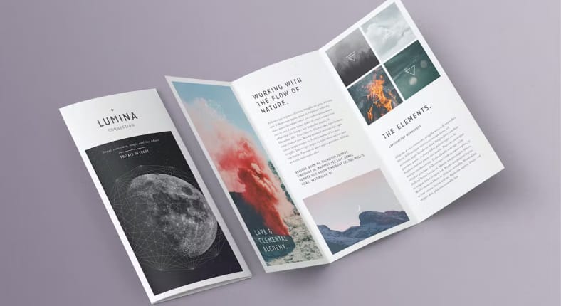 Envato | Brochures
