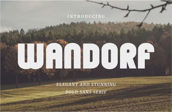 Envato Elements | Unlimited Font Downloads